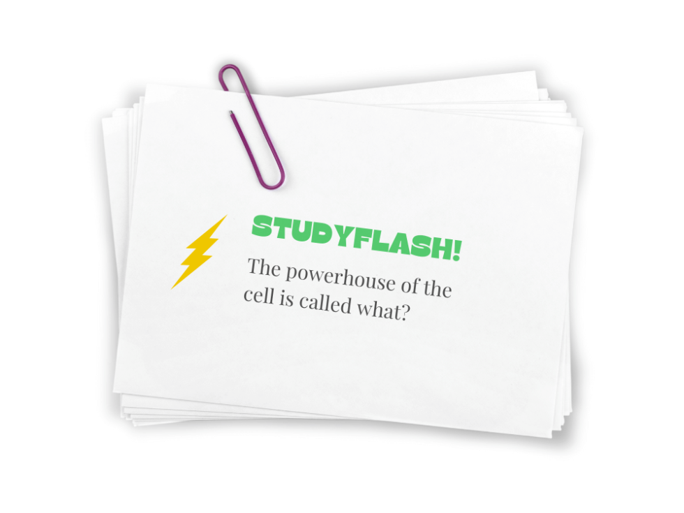 Copies - CopyRite & BannerZone